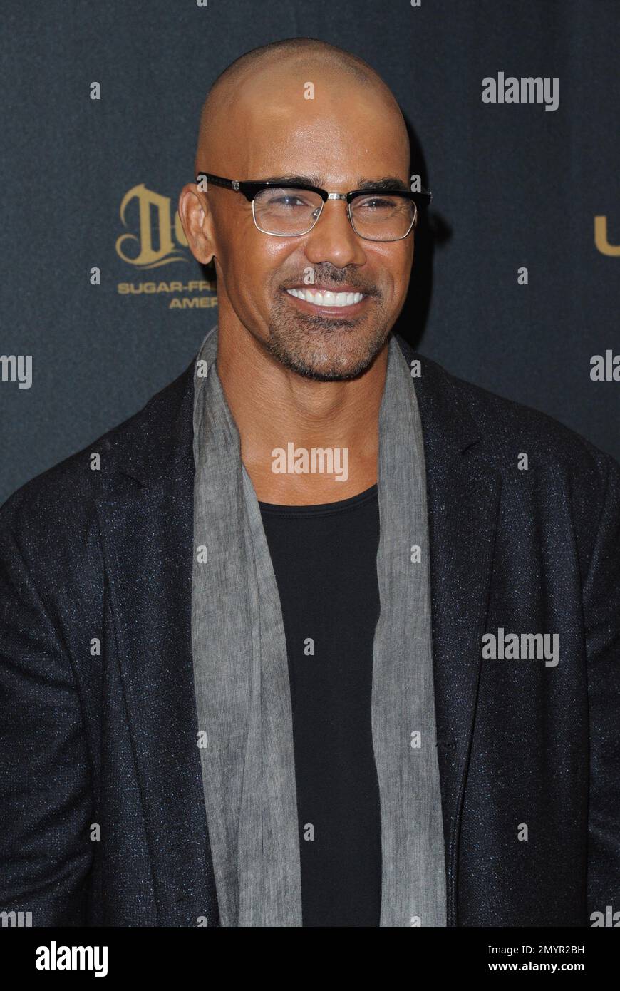 Shemar Moore poses in the pressroom at the 43rd annual Daytime Emmy ...