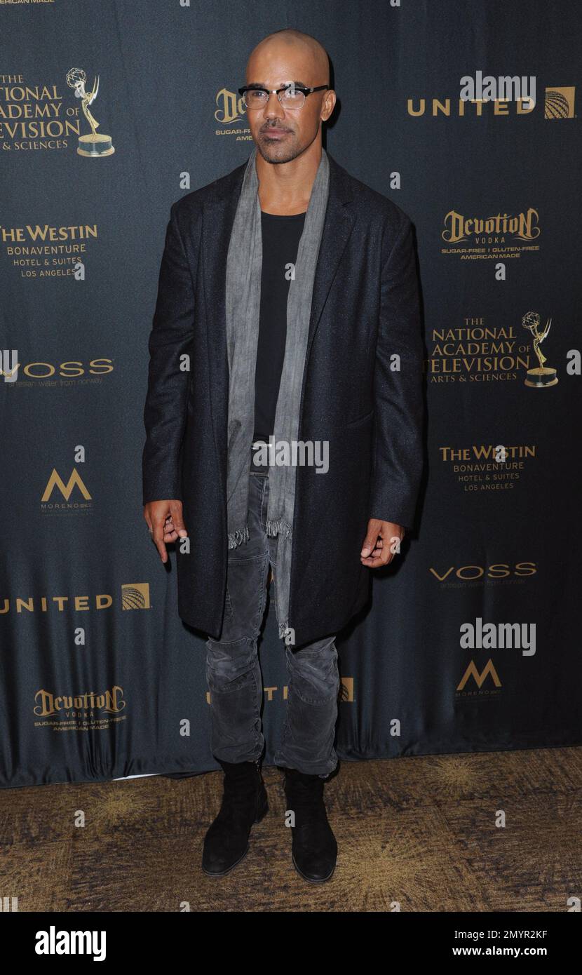 Shemar Moore poses in the pressroom at the 43rd annual Daytime Emmy ...
