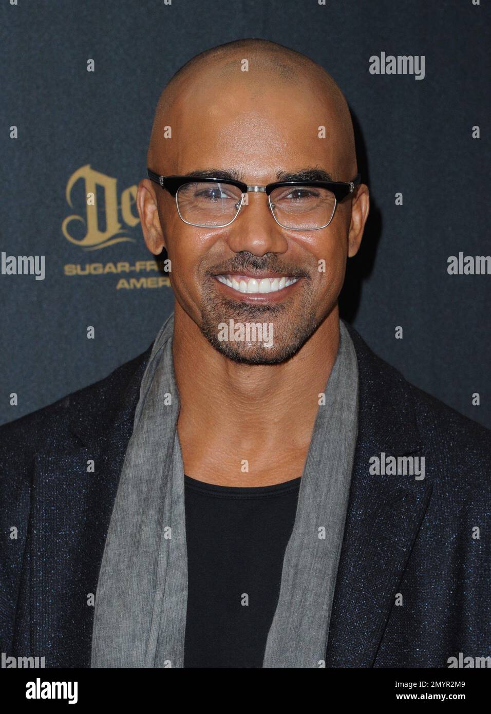Shemar Moore poses in the pressroom at the 43rd annual Daytime Emmy ...