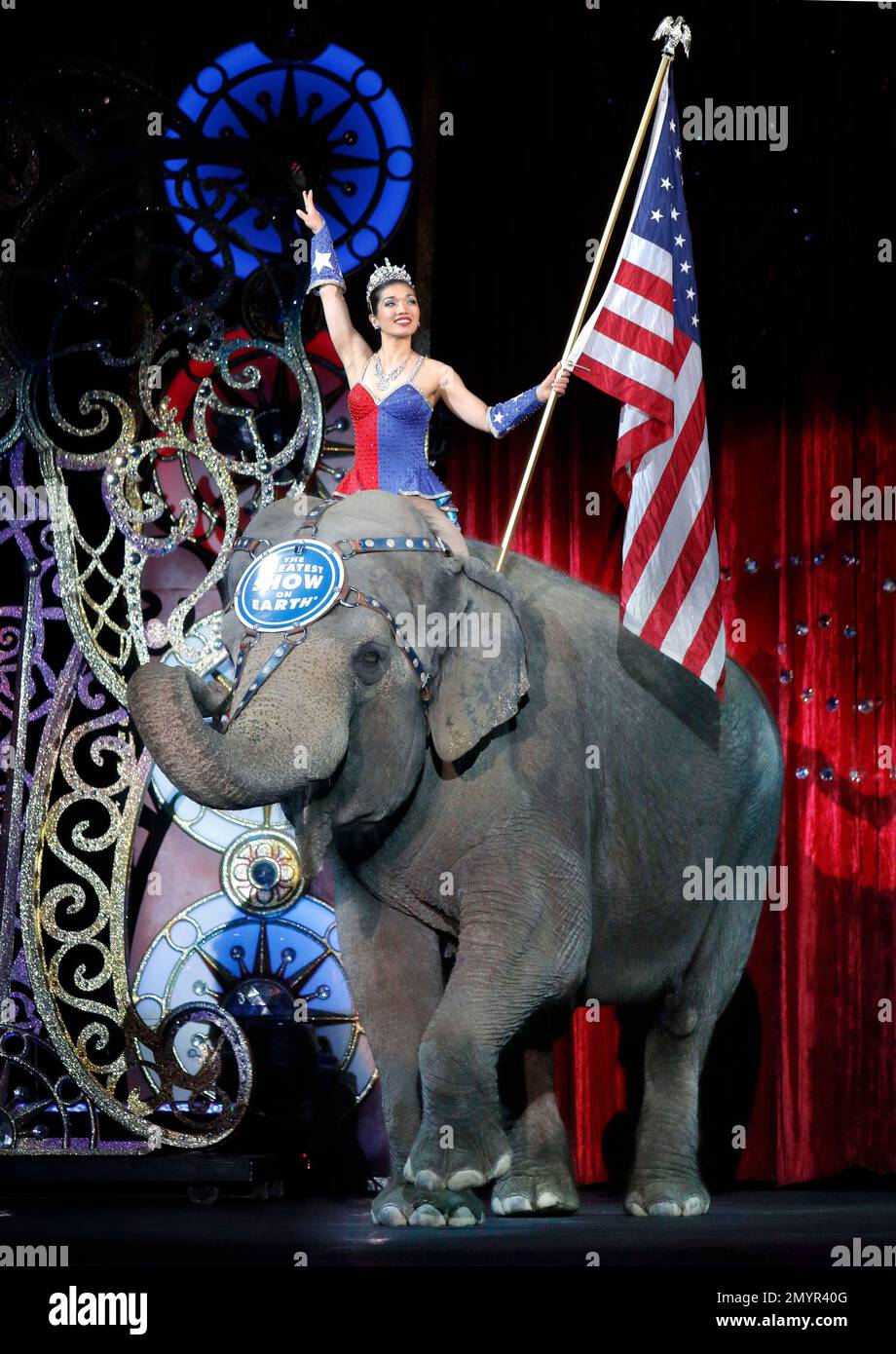 An Asian elephant performs during the national anthem for the final ...
