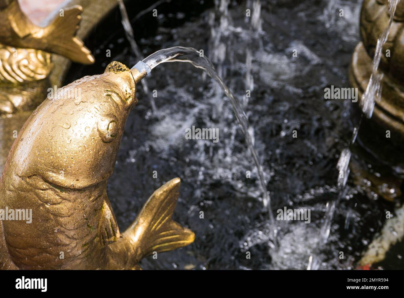 A golden fish statue of water fountain Stock Photo - Alamy