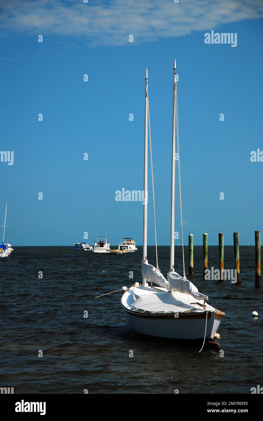 Summer vacation in miami marina hi-res stock photography and images - Alamy