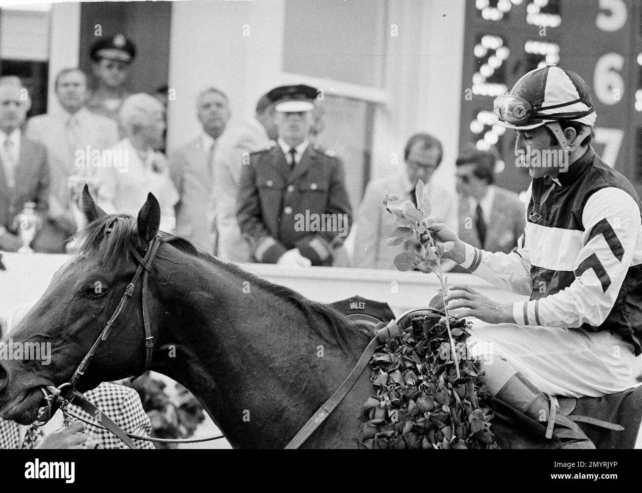 Jockey Jacinto Vasquez admires a single rose, plucked from the ...