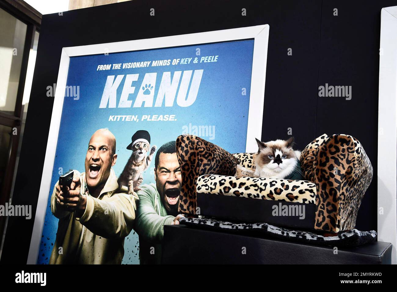 Albert Baby Cat seen at New Line Cinema Los Angeles Premiere of "Keanu ...