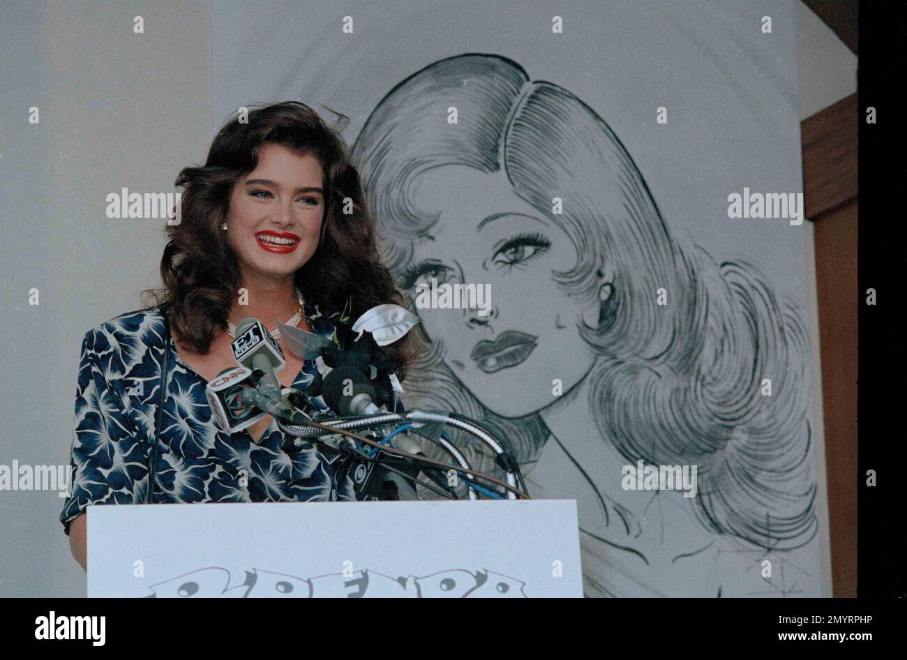 Actress Brooke Shields speaks at a news conference in New York, June 18 ...