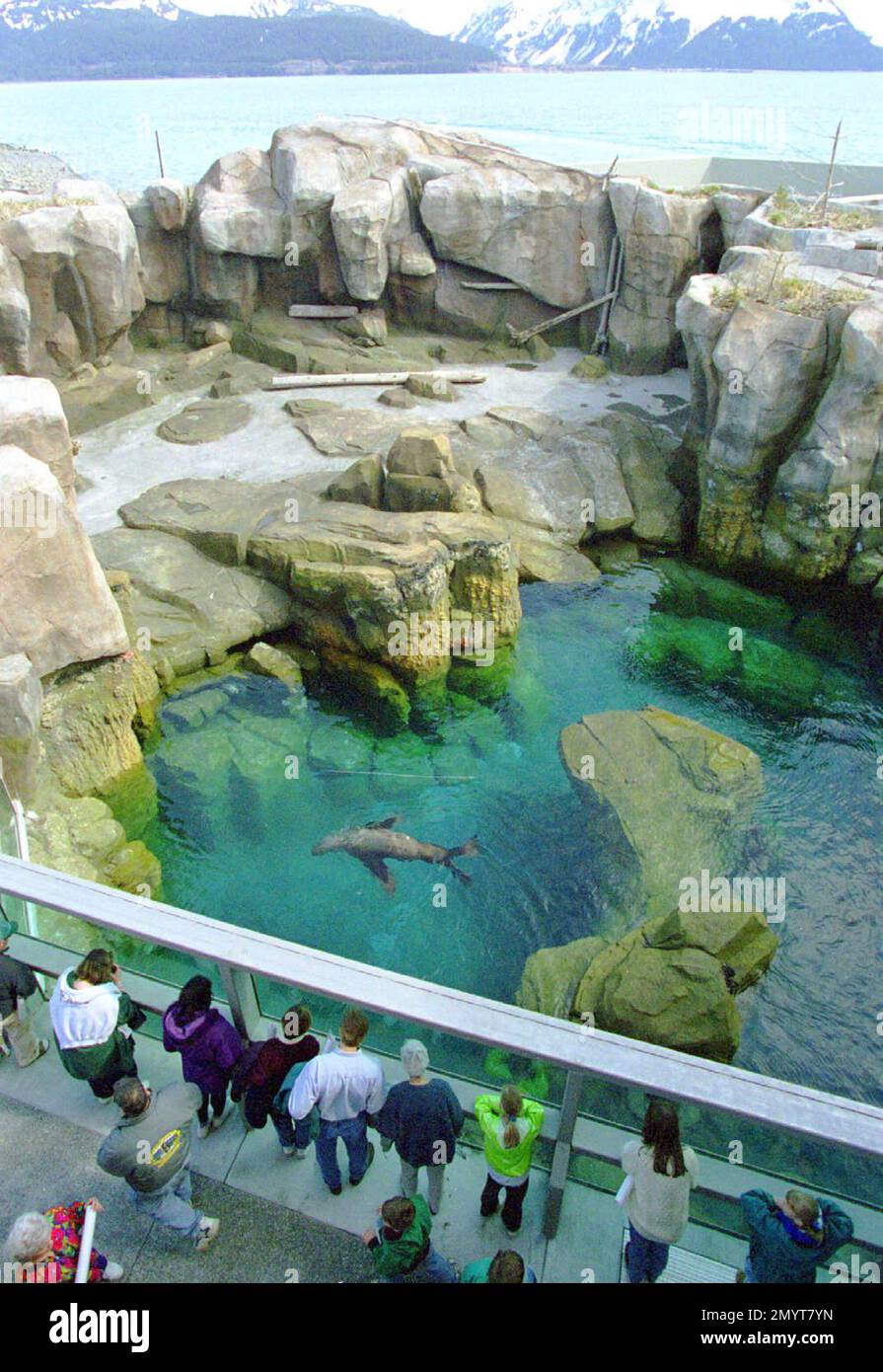 FILE - In this May 2, 1998 file photo, visitors view one of the Steller ...