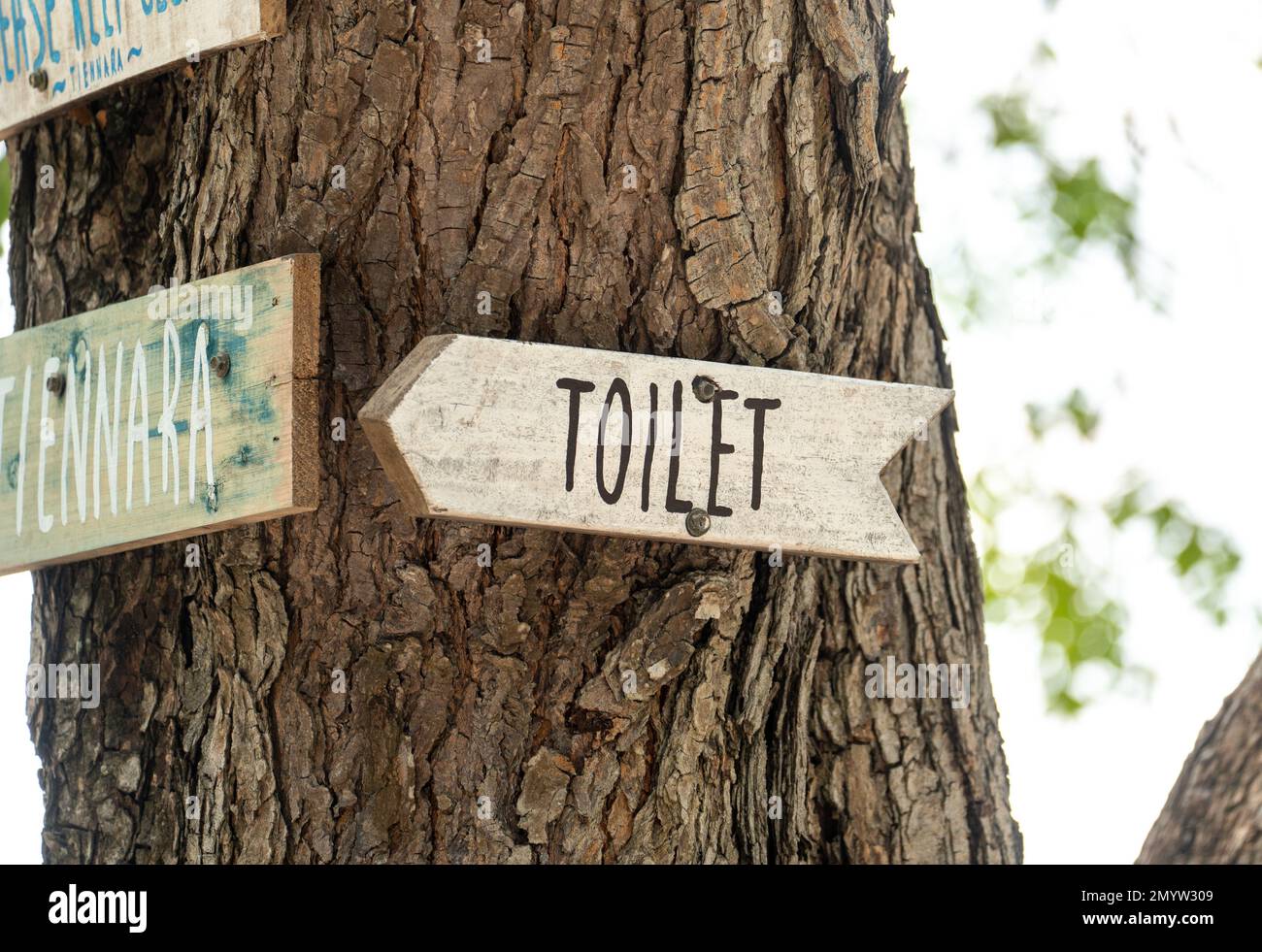 toilet sign. classic simple design handmade wooden sign of toilet give ...