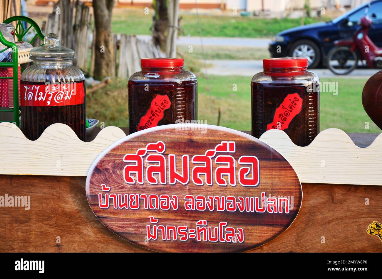 Traditional liquor fermented alcohol and pickled with poisonous insect ...