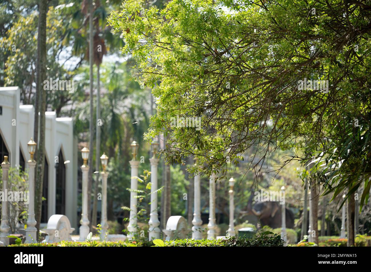 Abstract city park with warm lighting background. Green park during ...