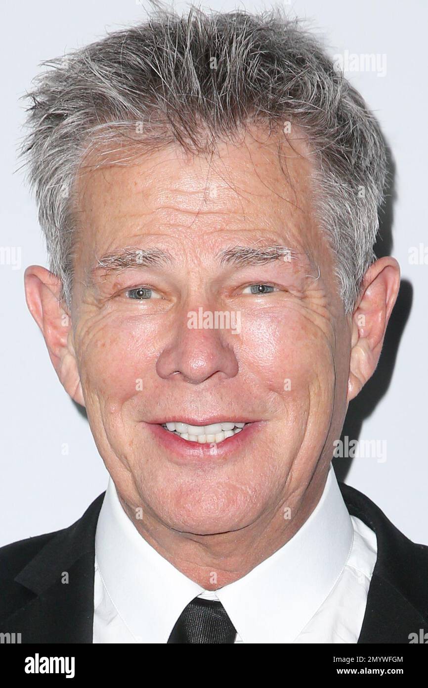 David Foster arrives at Sean Parker and the Parker Foundation's Gala ...