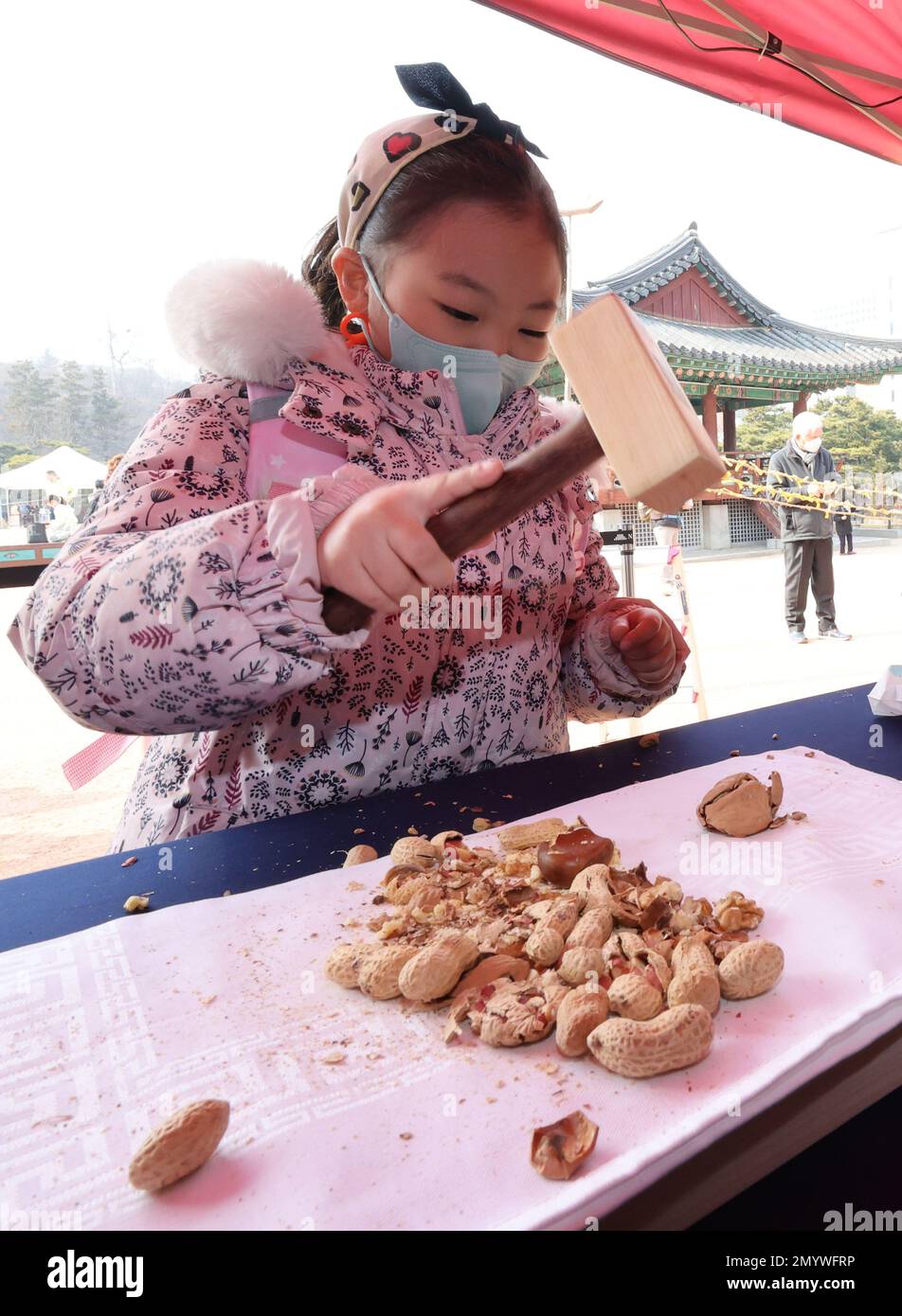 05th Feb, 2023. Jeongwol Daeboreum festival A child cracks open peanuts ...