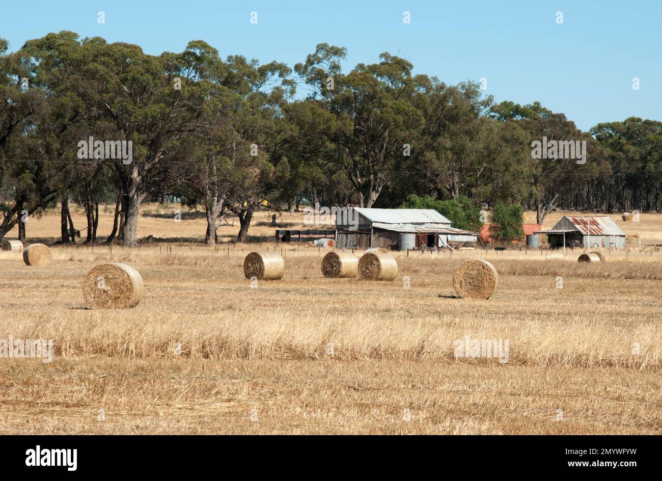 Victorian countryside australia hi-res stock photography and images - Alamy