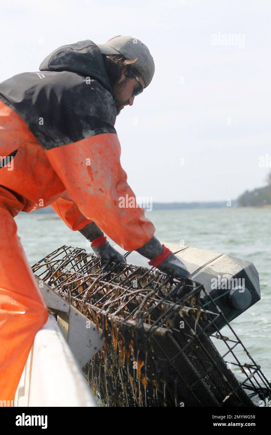 In this photo taken Thursday March 31, 2016, Jeff Auger flips over a ...