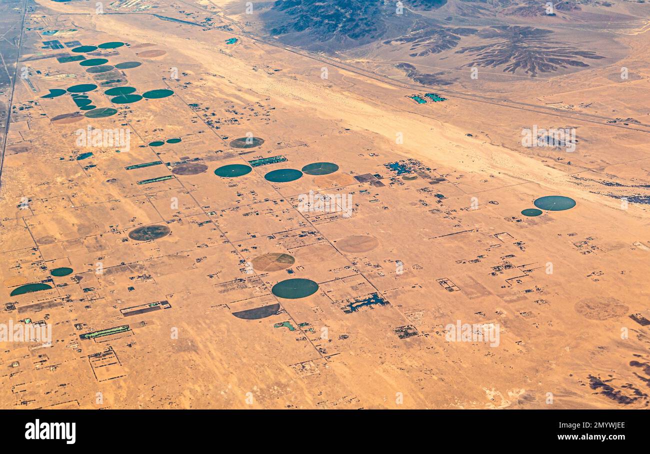 agriculture with irrigation in the desert in California Stock Photo - Alamy