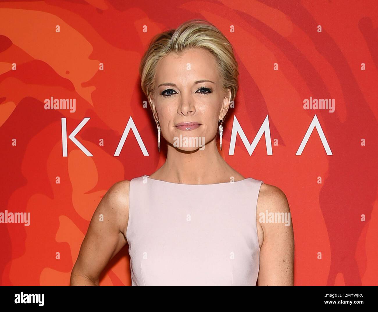 FILe - In this April 8, 2016 file photo, Fox News anchor Megyn Kelly ...