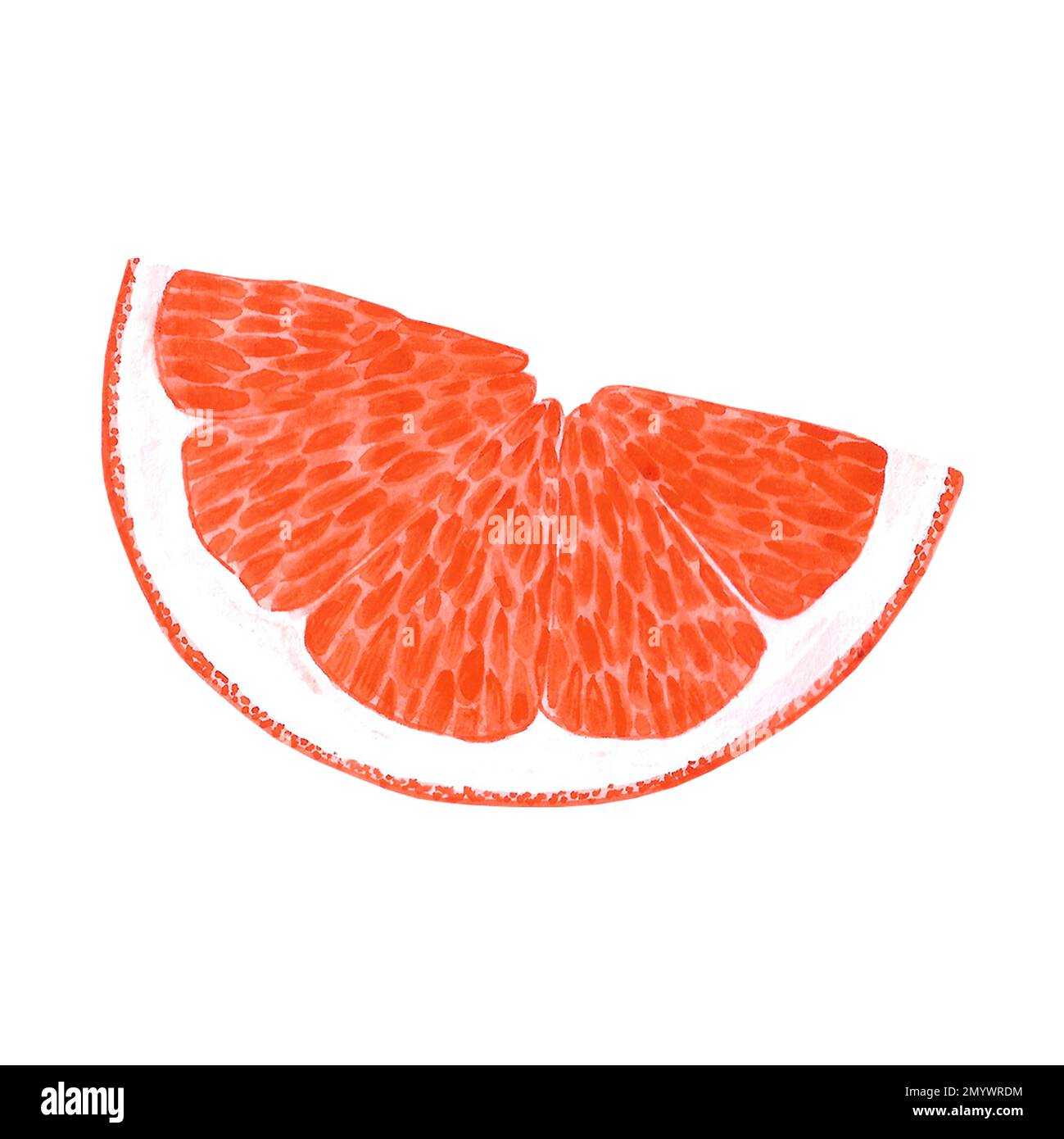 Hand drawn watercolor slice of orange isolated on white background. Scrapbook, post card, banner ...