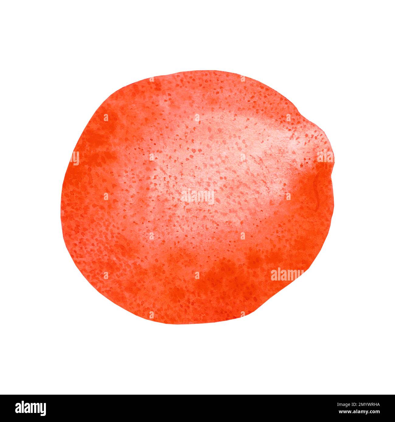 Hand drawn watercolor orange grapefruit isolated on white background. Scrapbook, post card ...