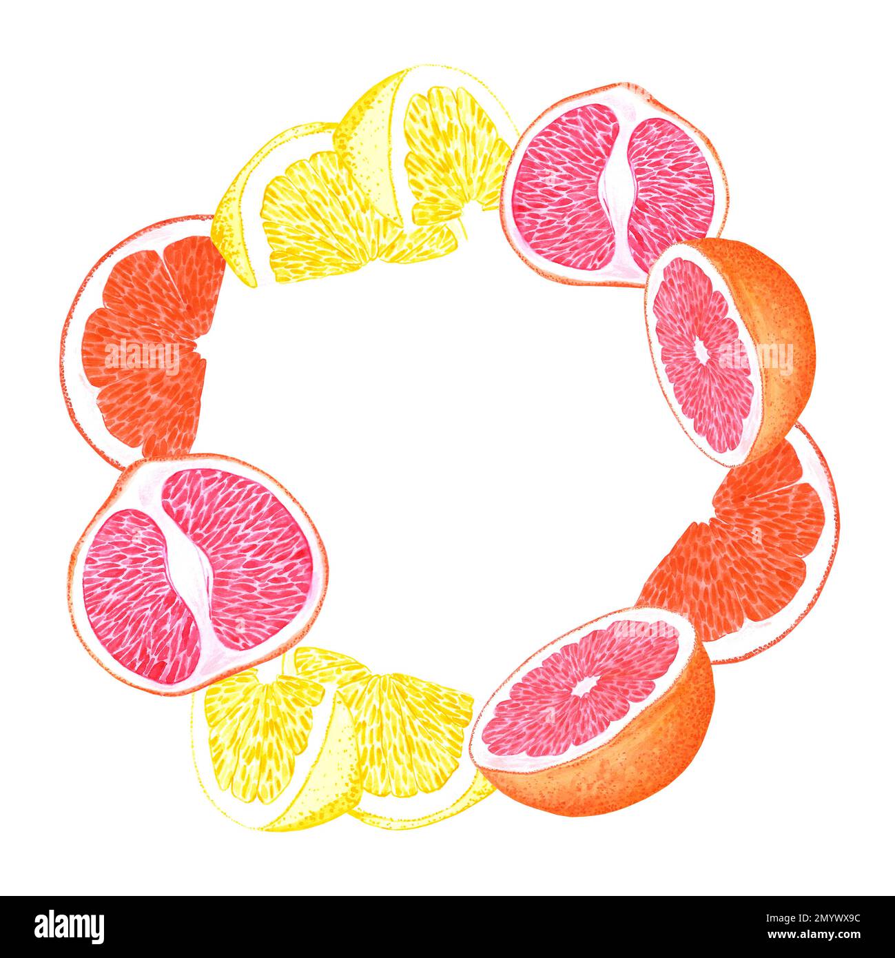 Hand drawn watercolor grapefruit orange and lemon wreath isolated on white background. Scrapbook ...
