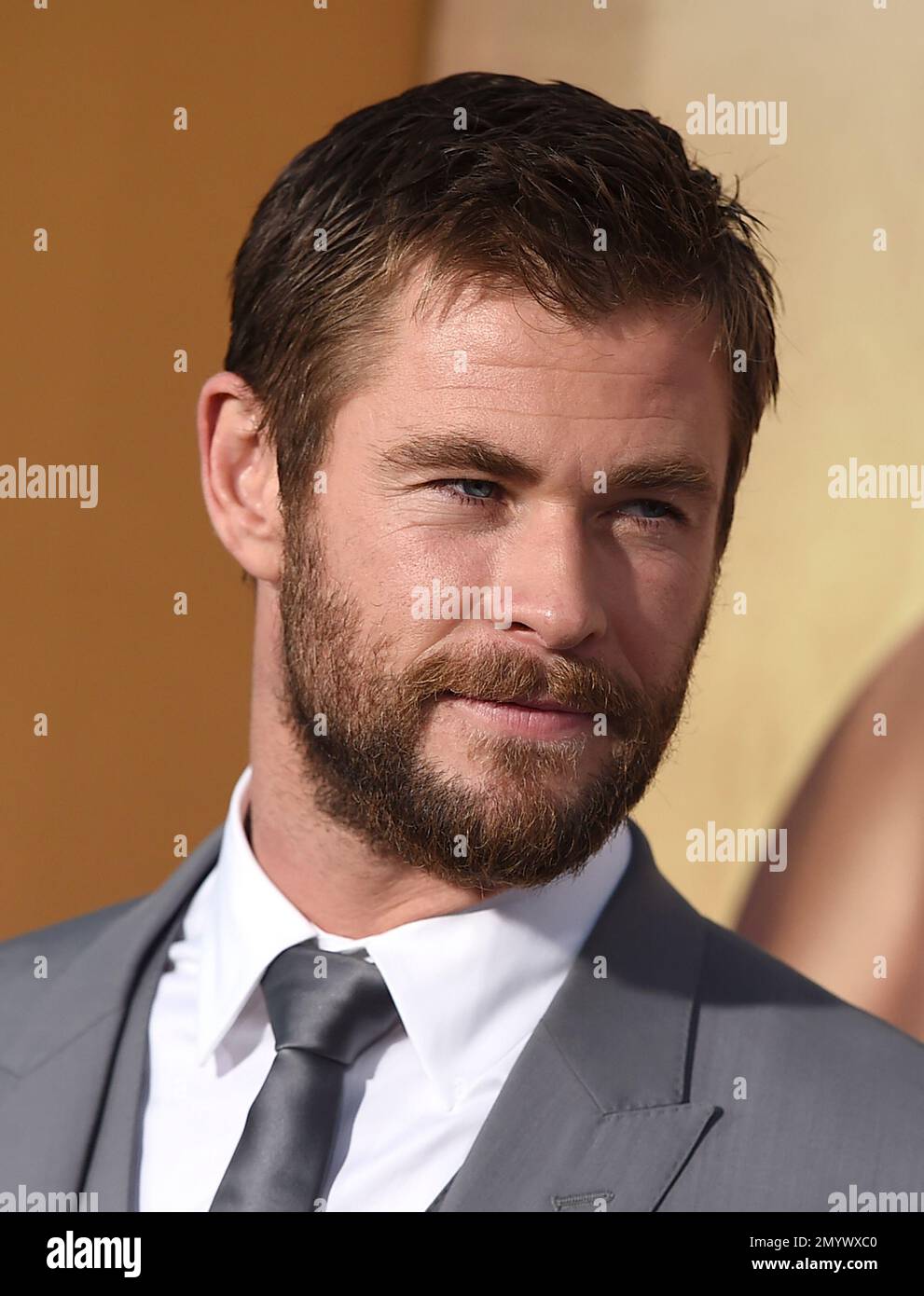 Chris Hemsworth arrives at the LA Premiere of "The Huntsman: Winter's ...