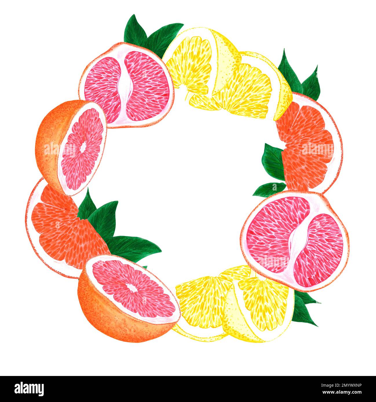 Hand drawn watercolor grapefruit orange and lemon wreath with green leaves isolated on white ...