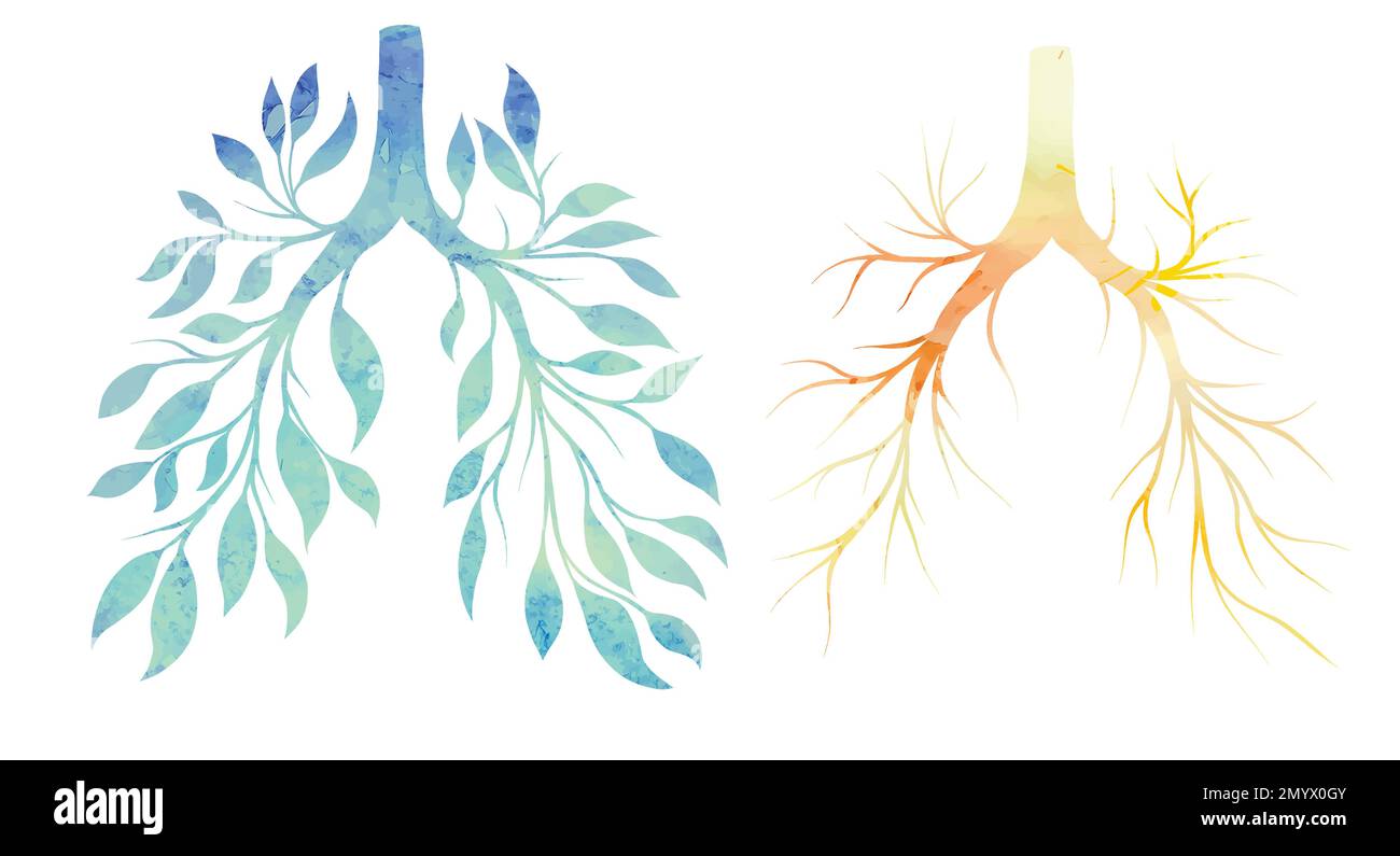 Vector set of watercolor silhouette of human lungs from leaves and ...