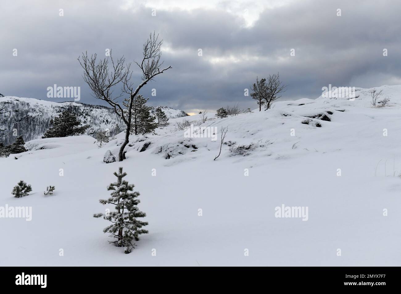 Snow landscape in the mountains of arctic Norway in winter Stock Photo ...