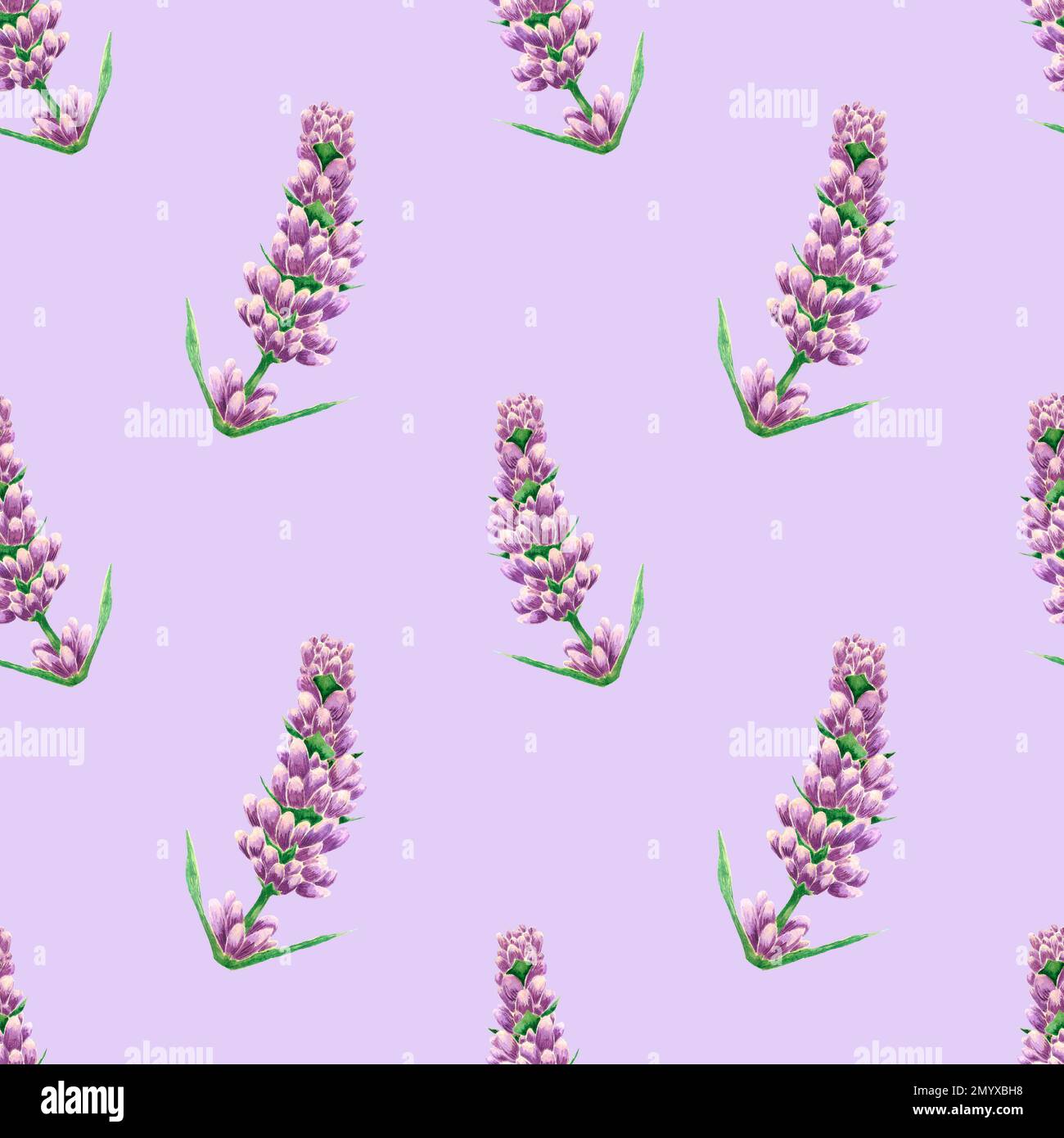 Handdrawn lavender flowers seamless pattern. Watercolor purple lavender ...