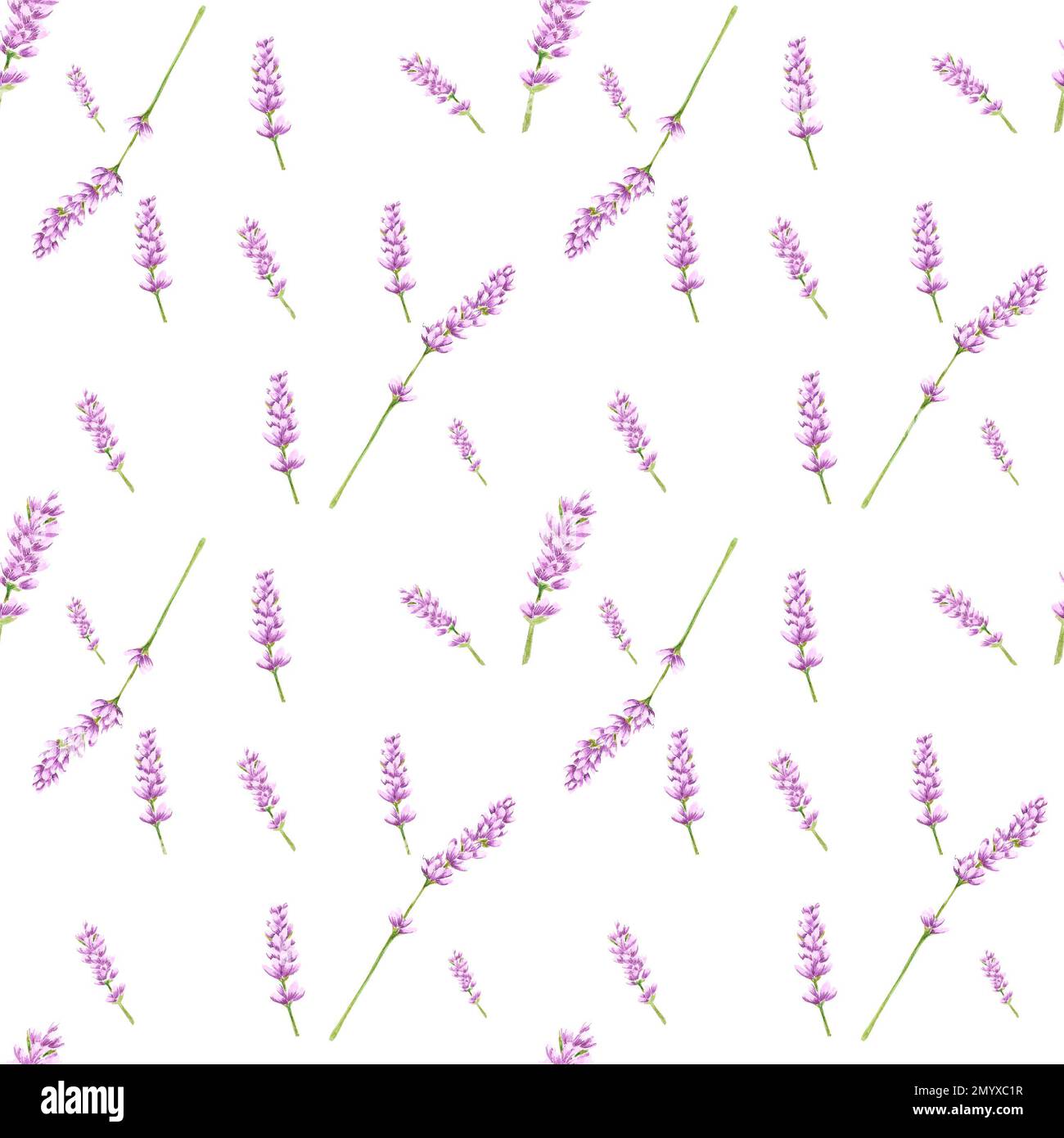 Handdrawn lavender flowers seamless pattern. Watercolor purple lavender ...