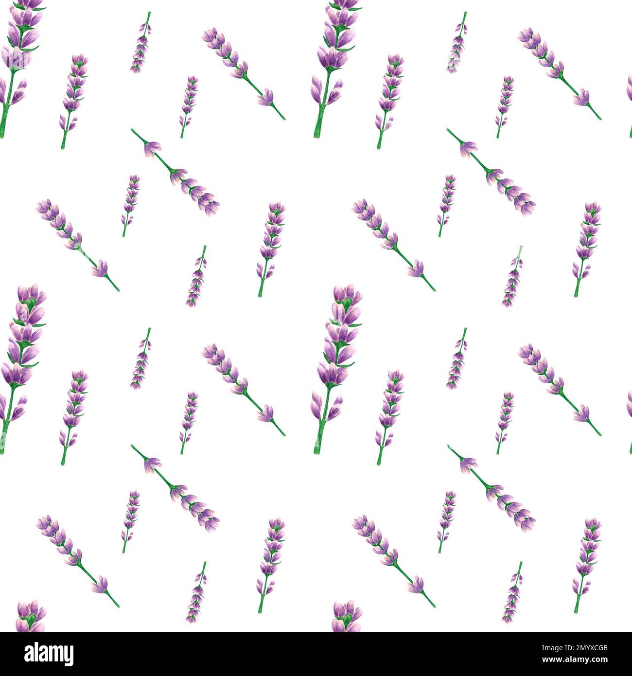Handdrawn lavender flowers seamless pattern. Watercolor purple lavender ...