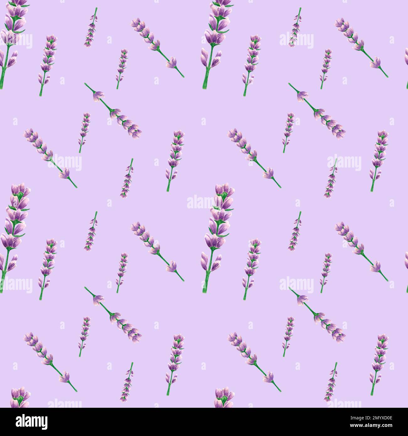 Handdrawn lavender flowers seamless pattern. Watercolor purple lavender ...