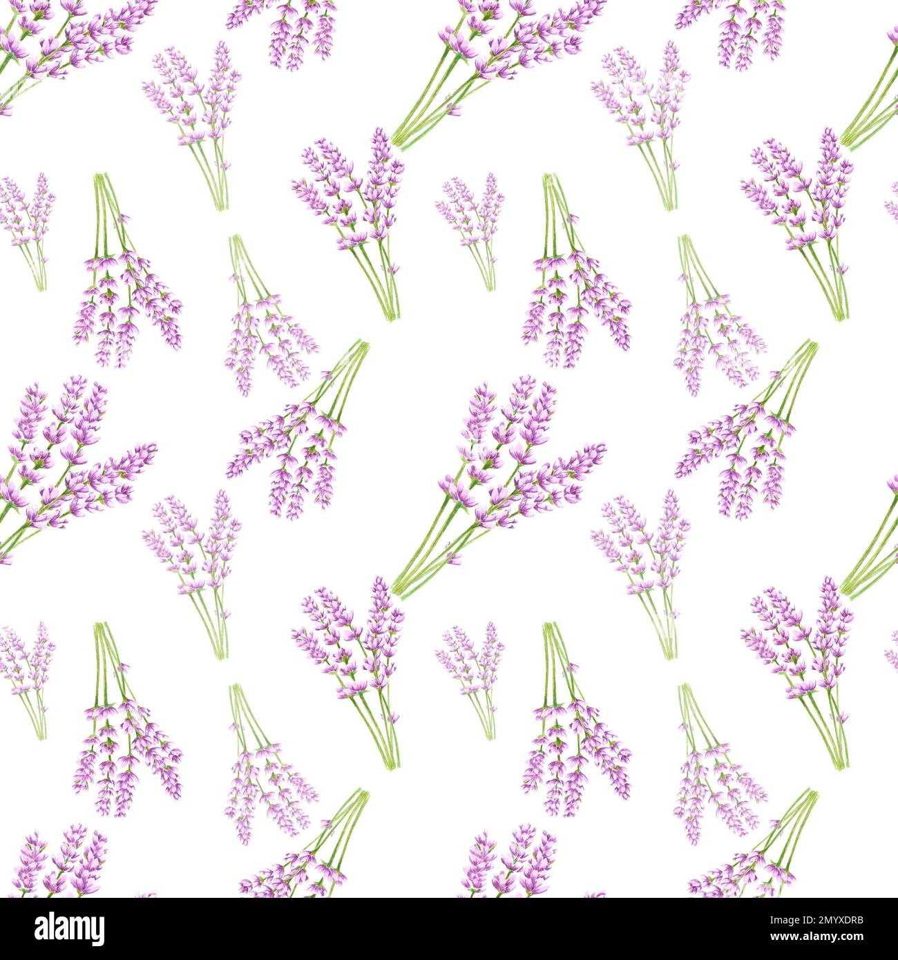 Handdrawn lavender flowers seamless pattern. Watercolor purple lavender ...