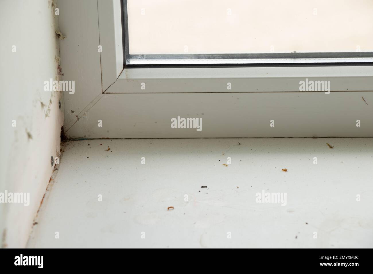 Protruding sill hi-res stock photography and images - Alamy