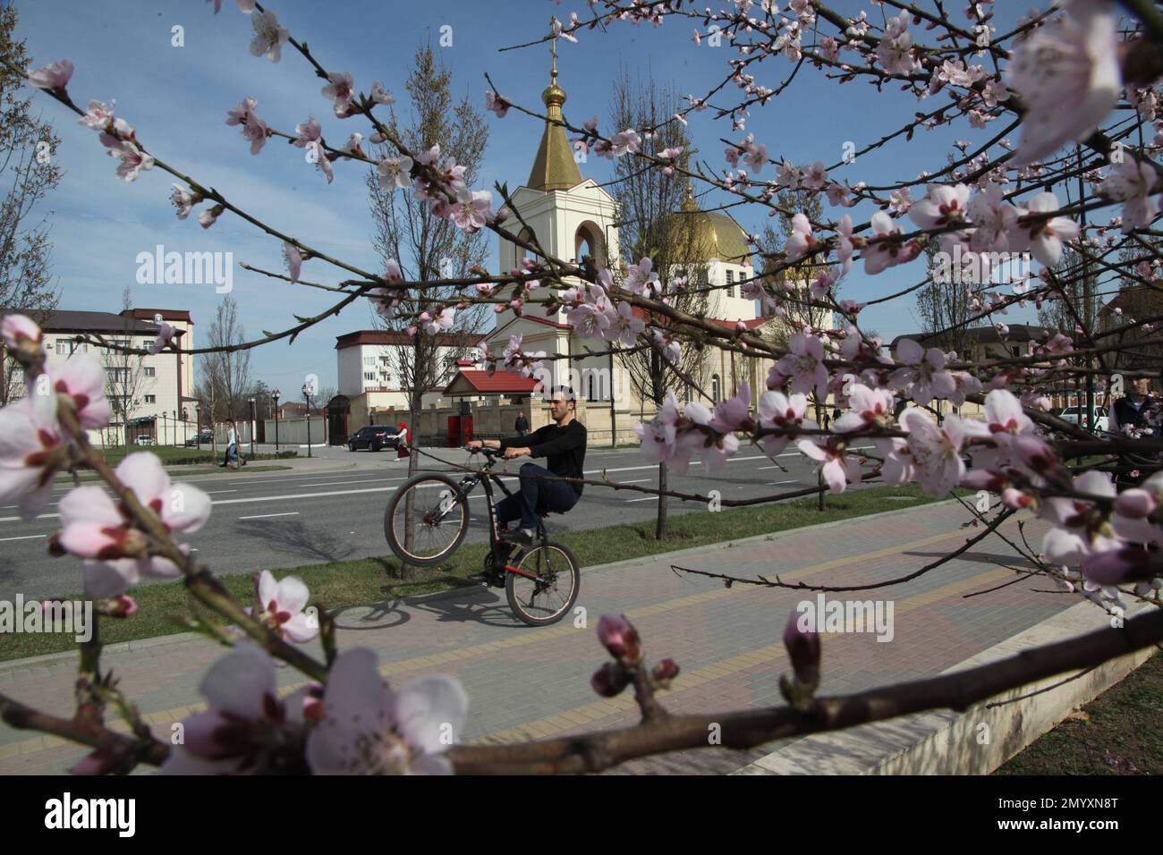 In this Wednesday, April 6, 2016 photo young Chechen man rides his ...
