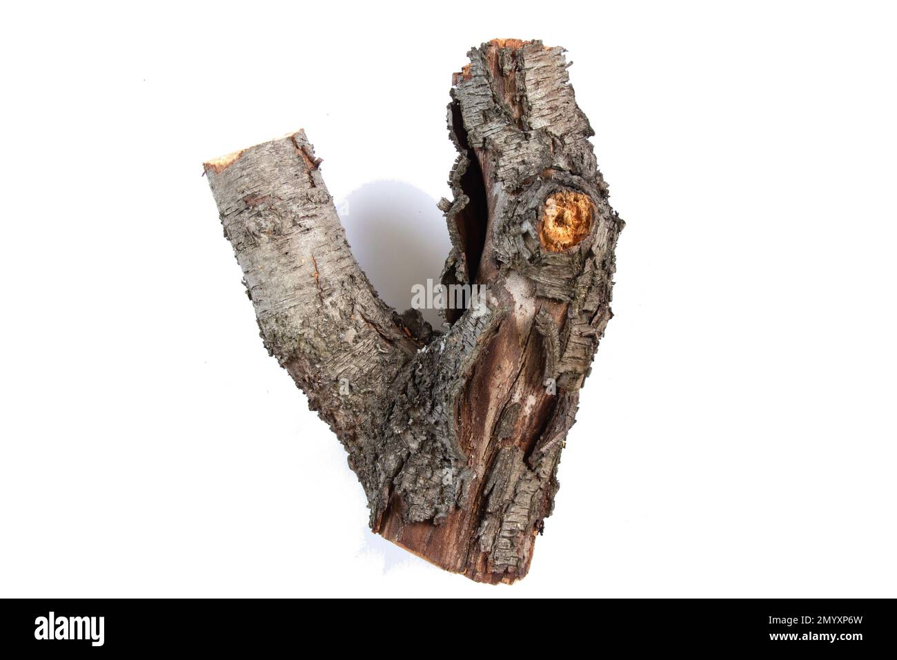 Cherry wood bark texture background hi-res stock photography and images ...