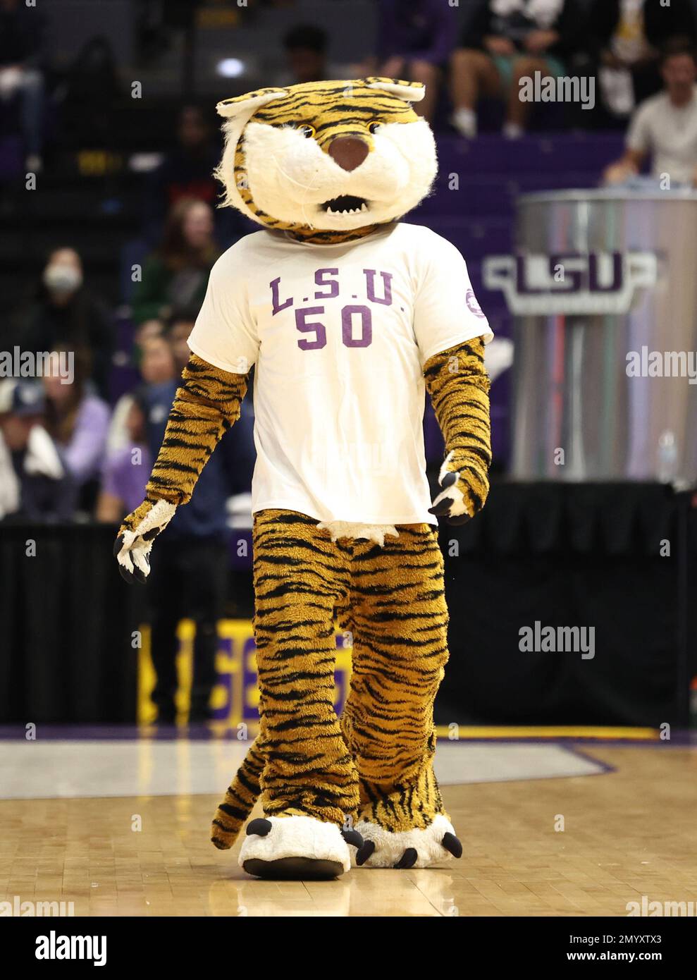 Baton Rouge, USA. 04th Feb, 2023. LSU Tigers mascot Mike the Tiger ...
