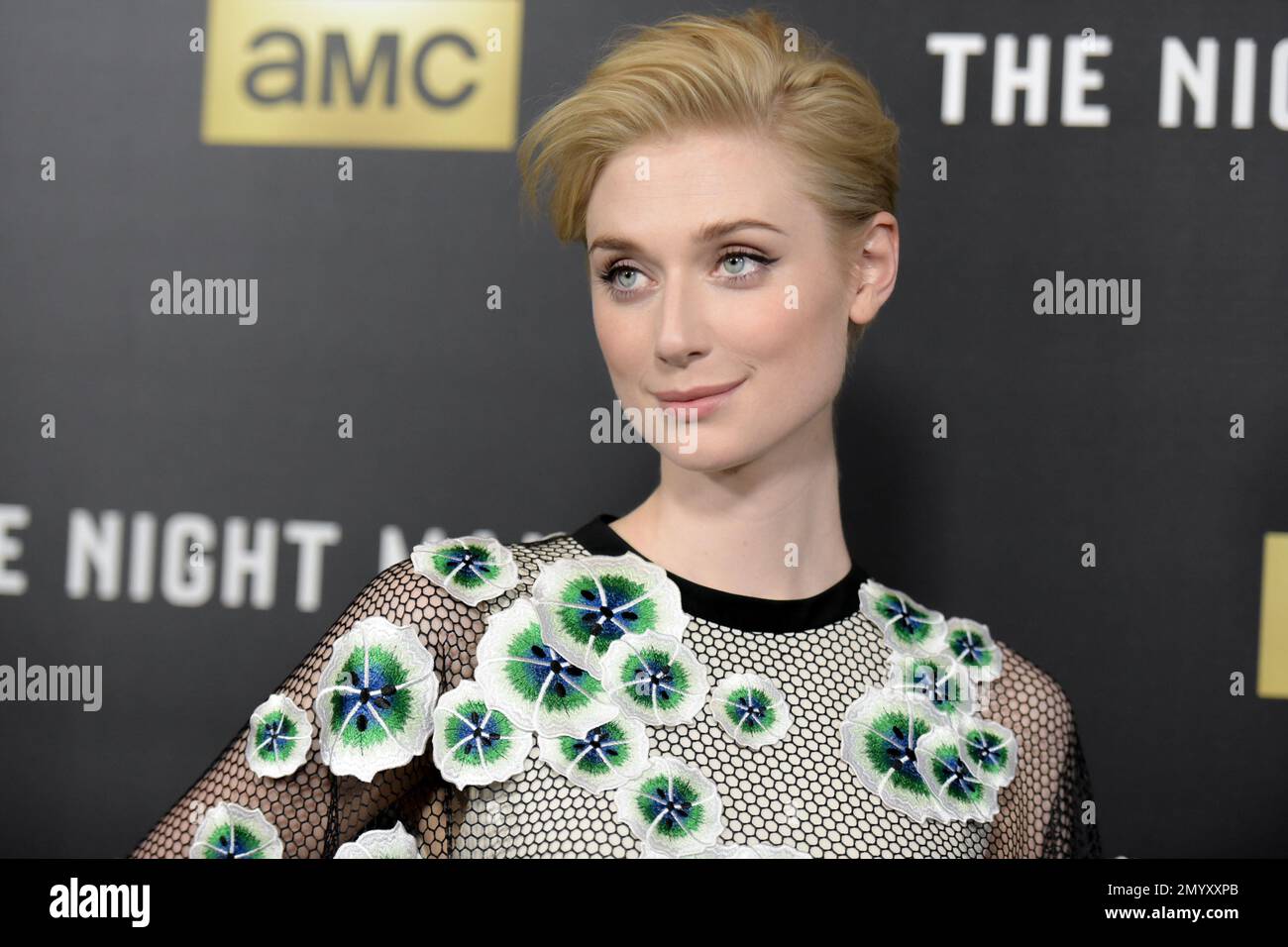 Elizabeth Debicki attends the LA Premiere of "The Night Manager" held ...