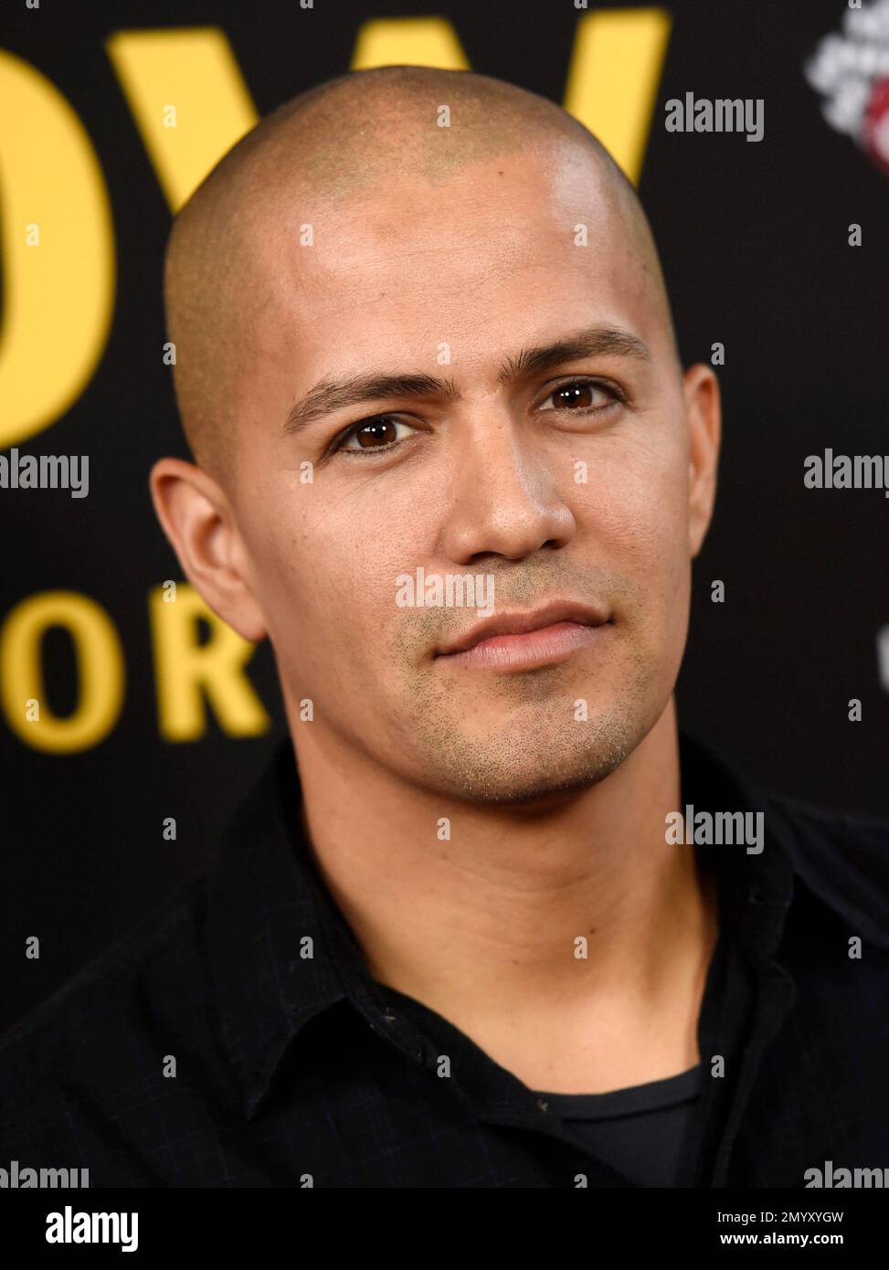 Actor Jay Hernandez poses at the premiere of the film "Be Here Now (The ...
