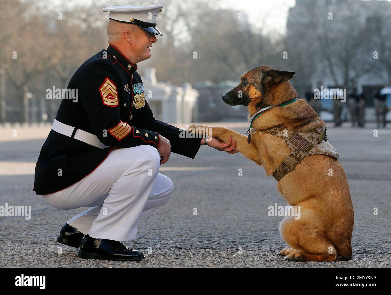 Gunnery sergeant Christopher Willingham, of Tuscaloosa, Alabama, USA ...