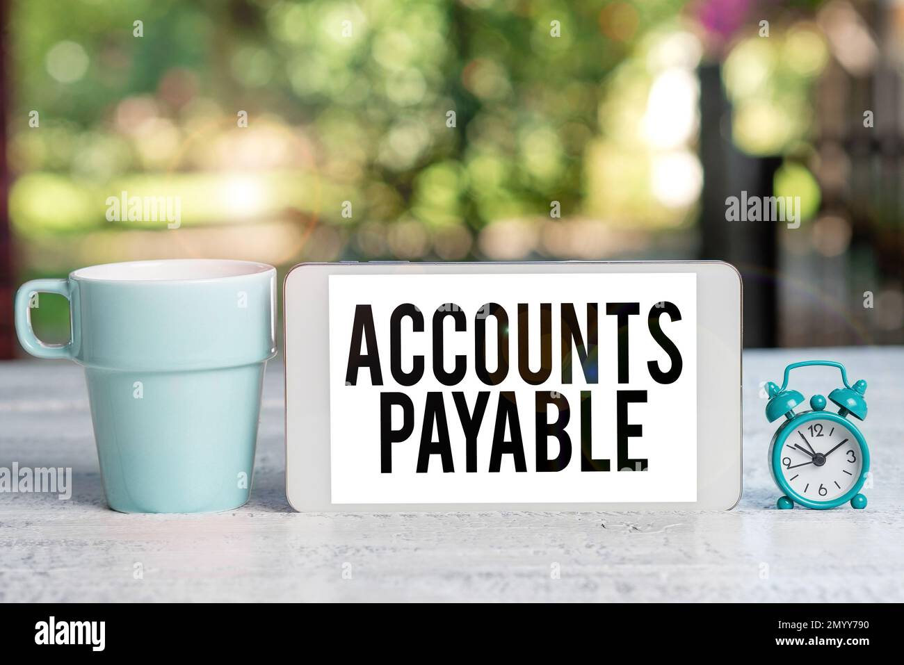 Handwriting text Accounts Payable. Internet Concept money owed by a ...