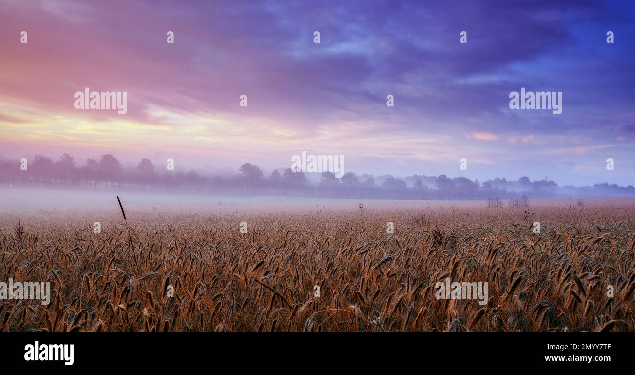 Twilight over misty rural farming hi-res stock photography and images ...