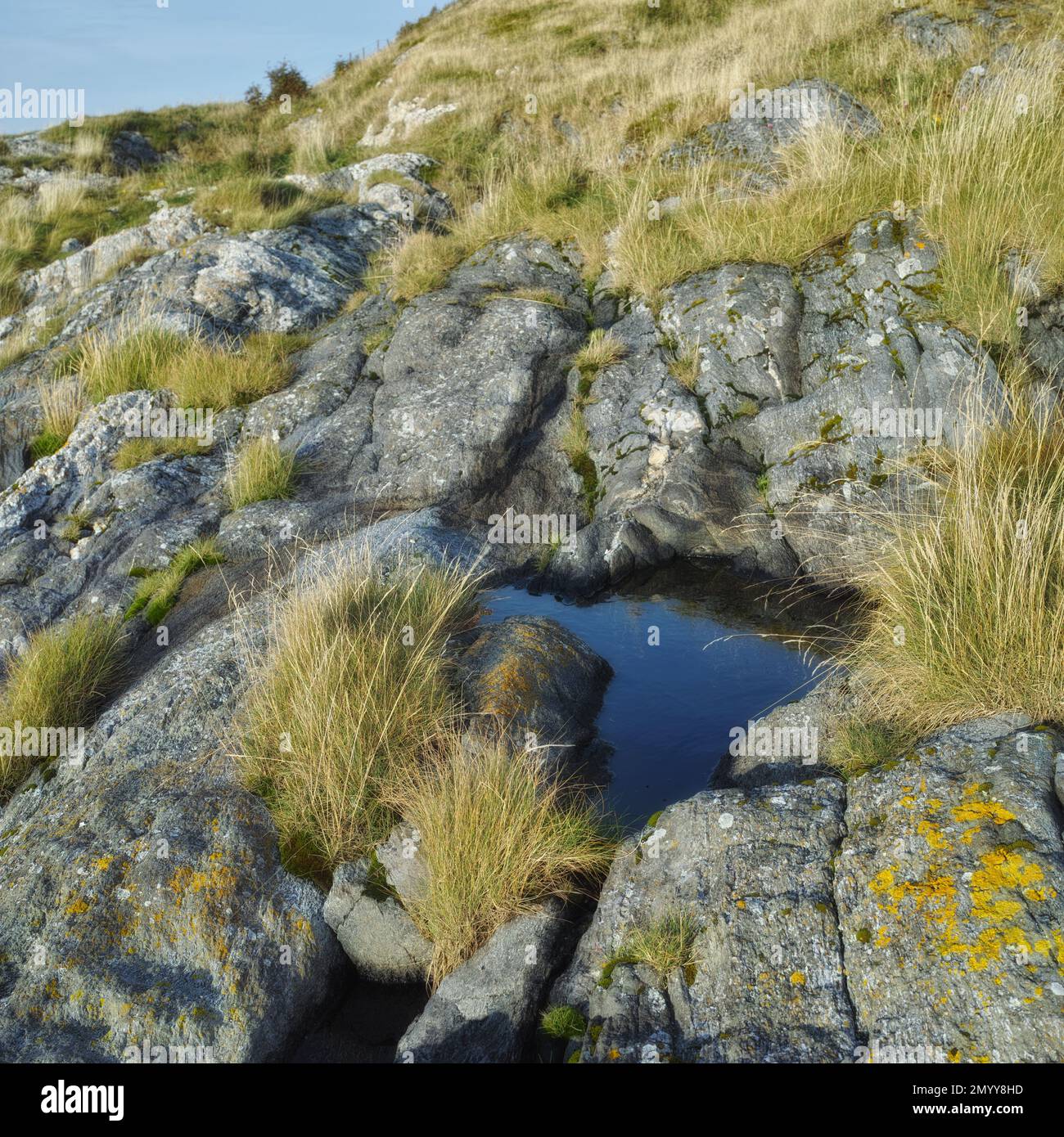 Mountainside pool. A close-up of a pool of water on the mountainside ...