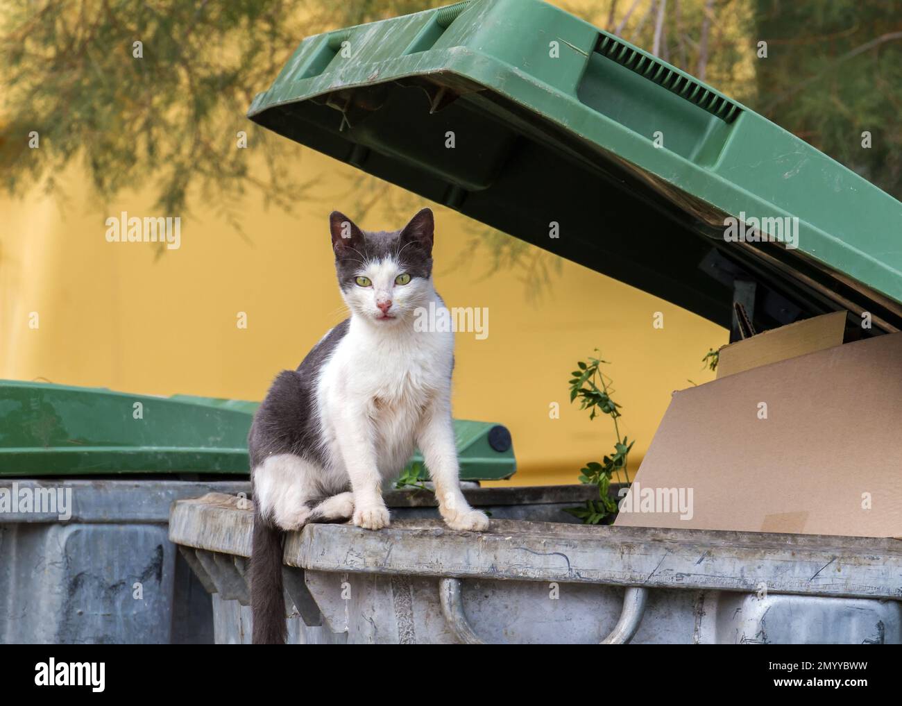 Prosperity waste hi-res stock photography and images - Alamy