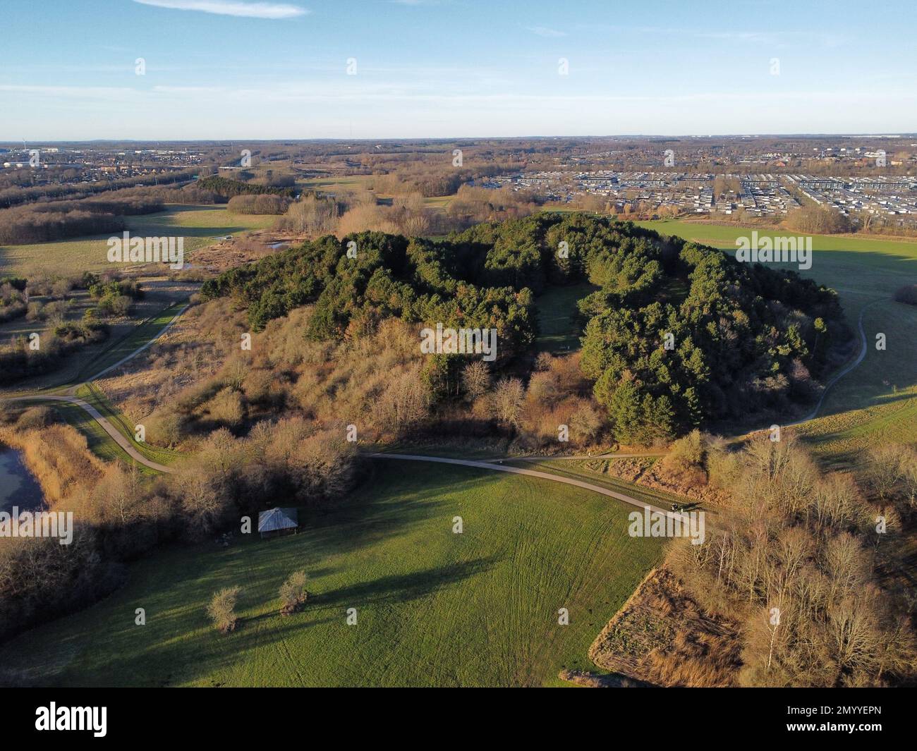 An aerial view of meadows with forest trees and rural houses in ...