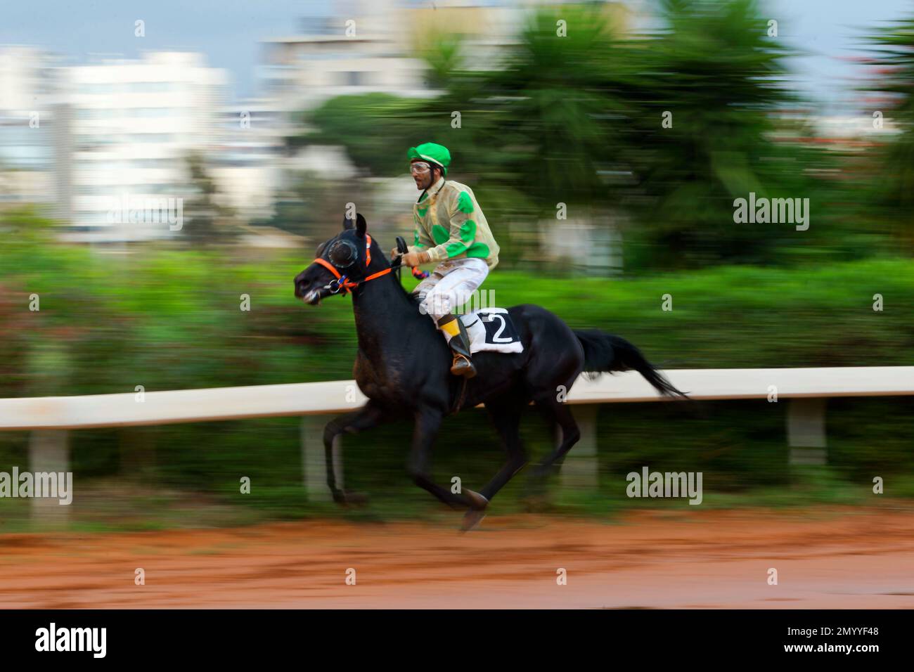 In this Thursday, March 24, 2016 photo, a jockey rides a horse during a ...