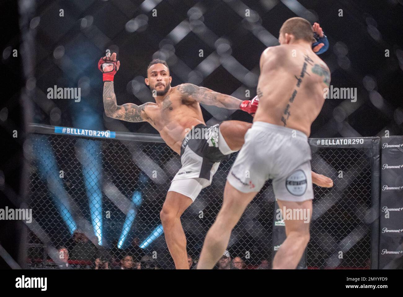 Los Angeles, California - February 4th: Chris Gonzales defeats Max Rohskopf via TKO at Bellator ...