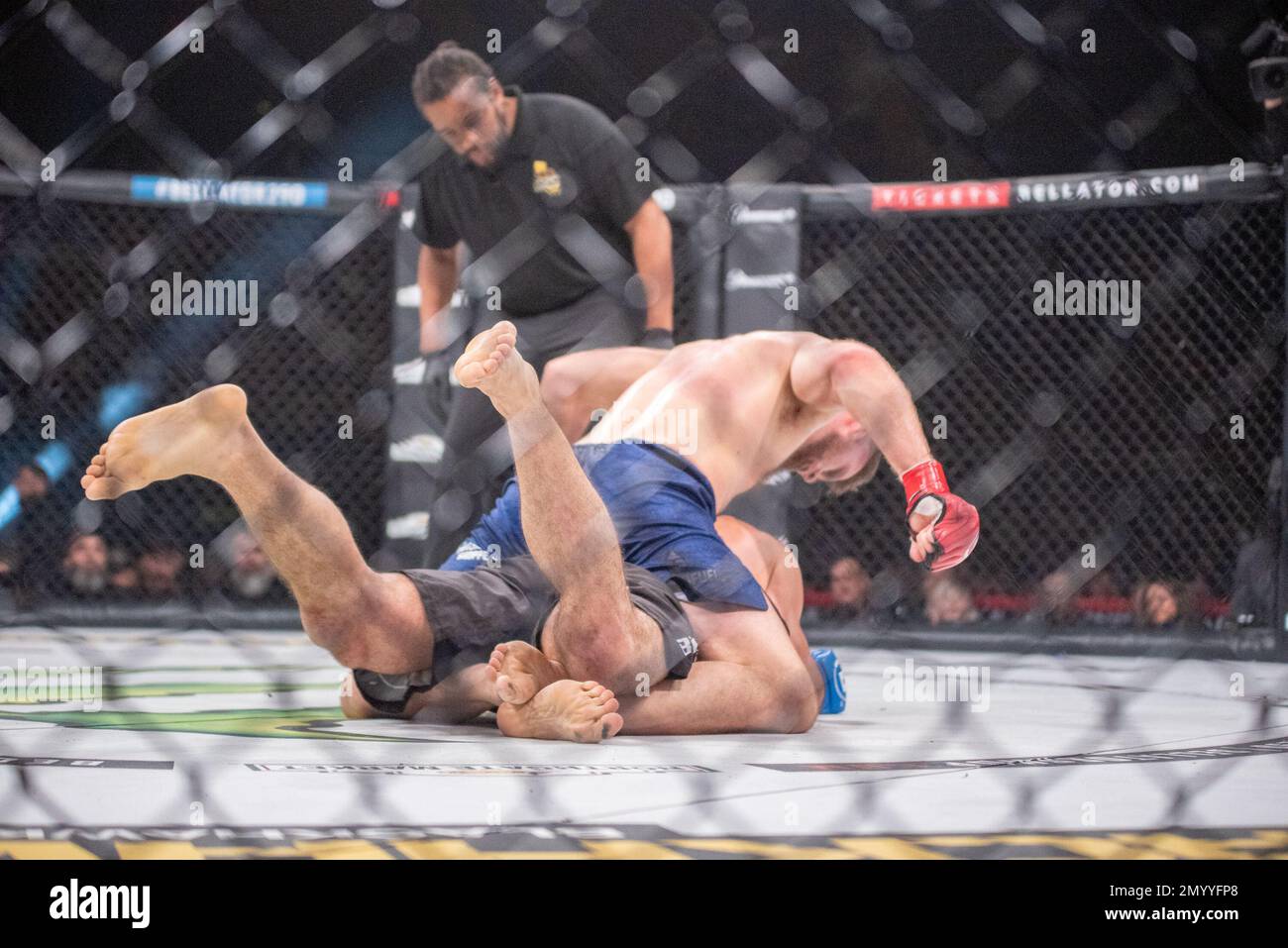 Ali bader hi-res stock photography and images - Alamy