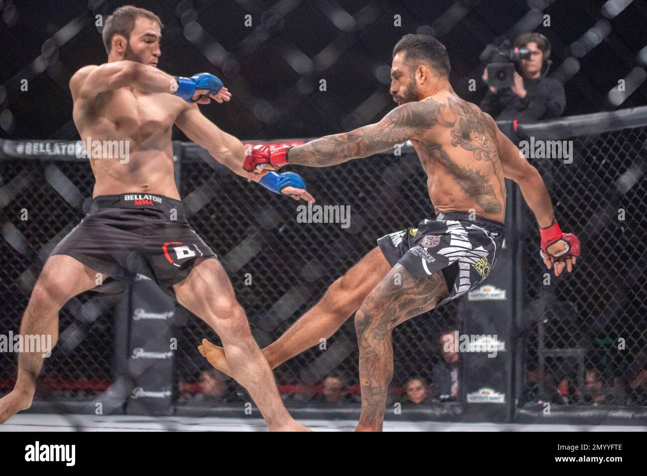 Akhmed magomedov hi-res stock photography and images - Alamy