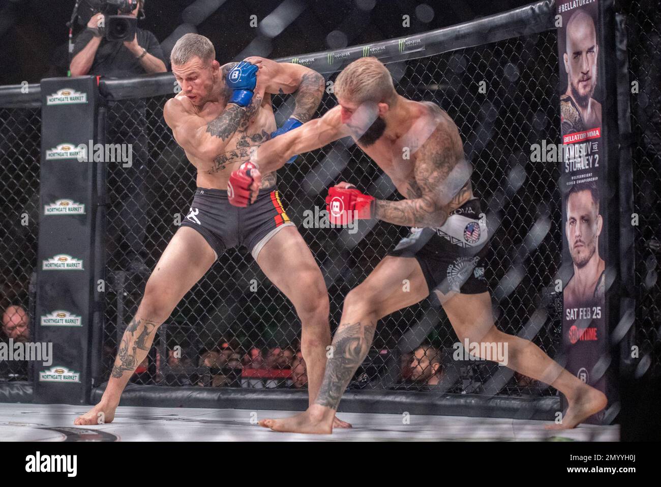 LOS ANGELES, CA - FEBRUARY 4: (R-L) Sabah Hamasi punches Brennan Ward ...