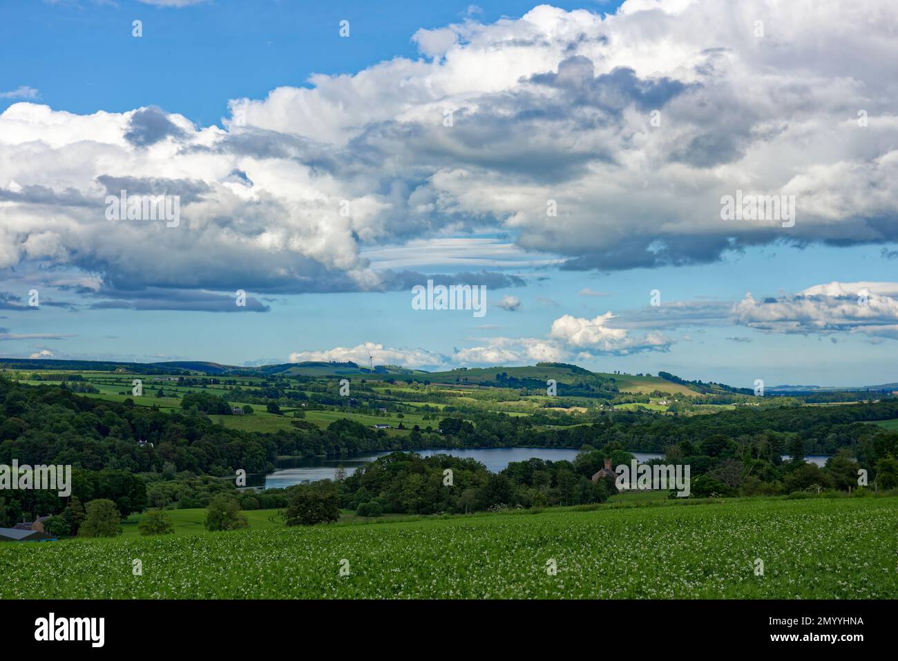 Church amongst green trees hi-res stock photography and images - Alamy