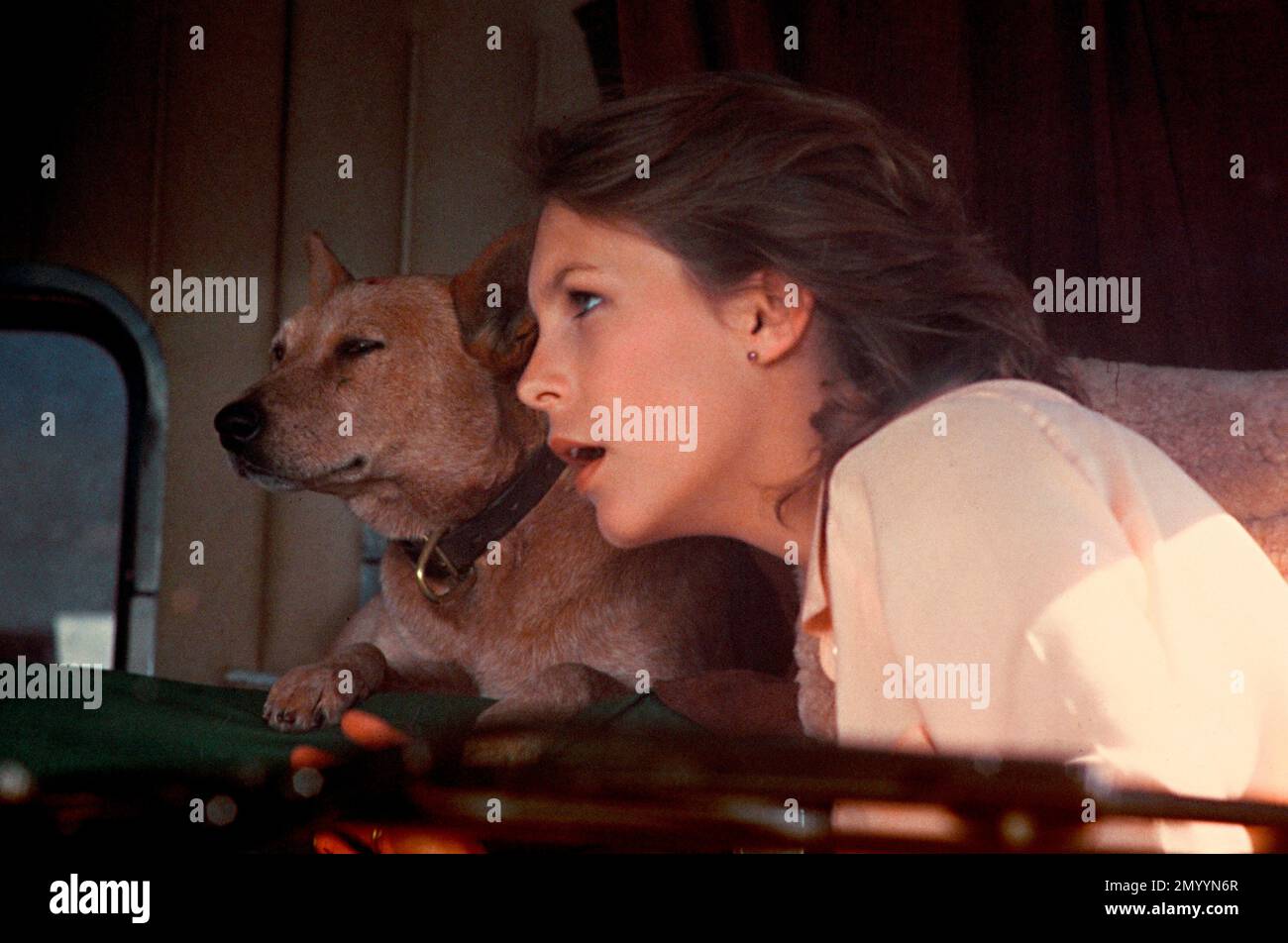 JAMIE LEE CURTIS in ROADGAMES (1981), directed by RICHARD FRANKLIN ...